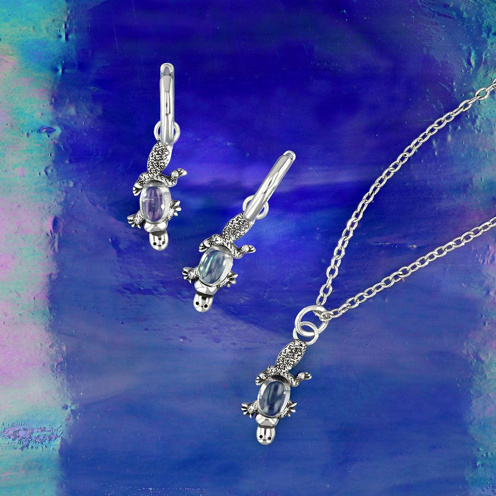 This Month's Rare Collection